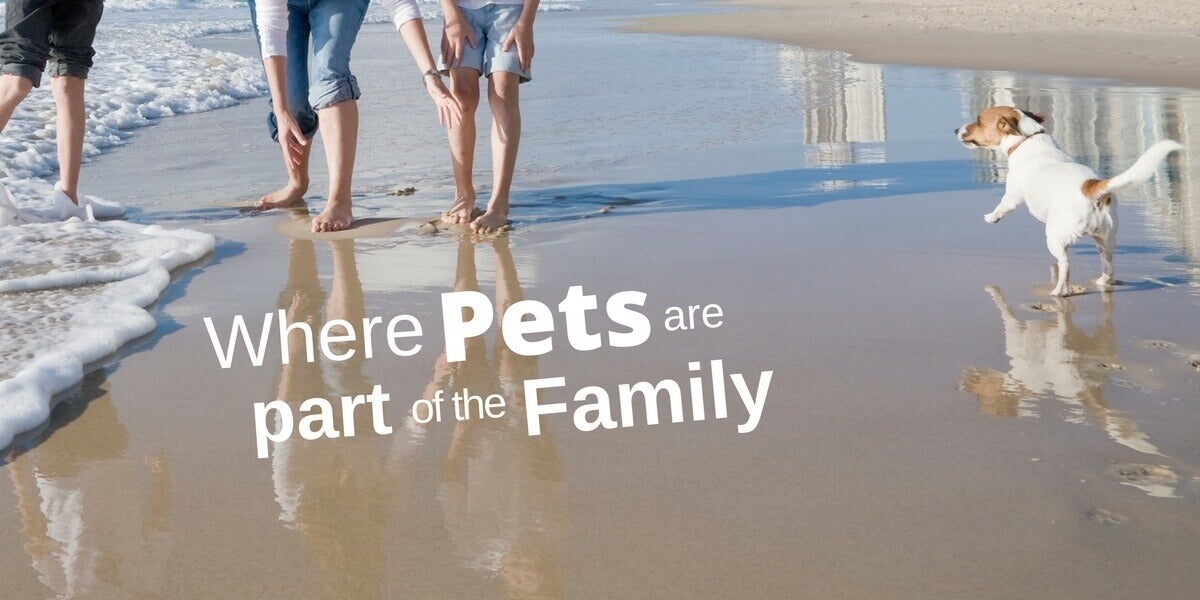 Top Rated Local Veterinarians – The Drake Center for Veterinary Care