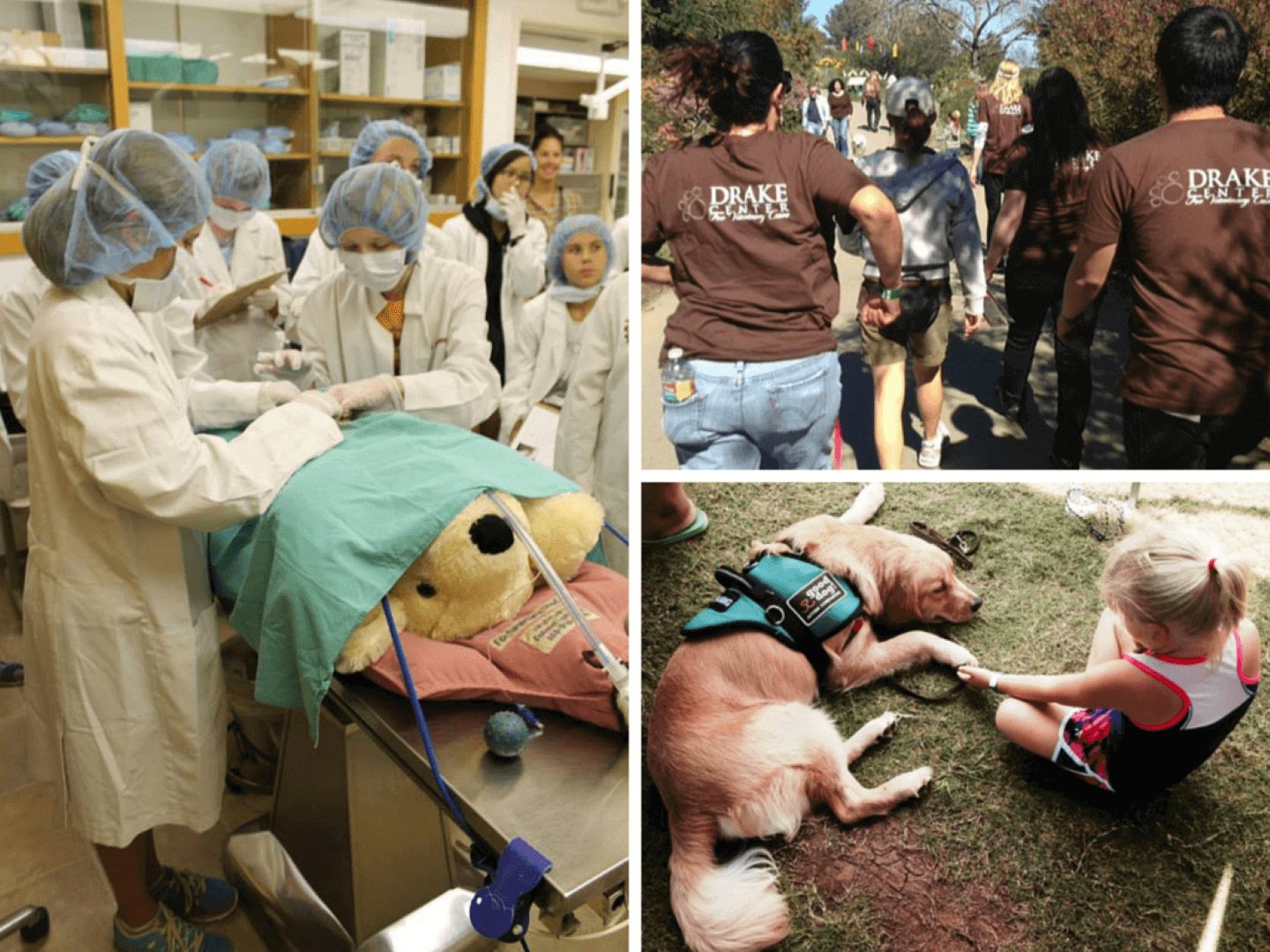 Our Community Involvement | The Drake Center For Veterinary Care